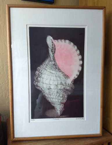 G H Rothe "SHELL" Mezzotint Limited Edition Print, Signed, Framed | eBay