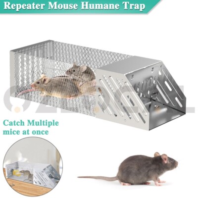 1X Continuous Rat Trap Cage Animal Bait Safe Catch Pest Rodent Mouse ...