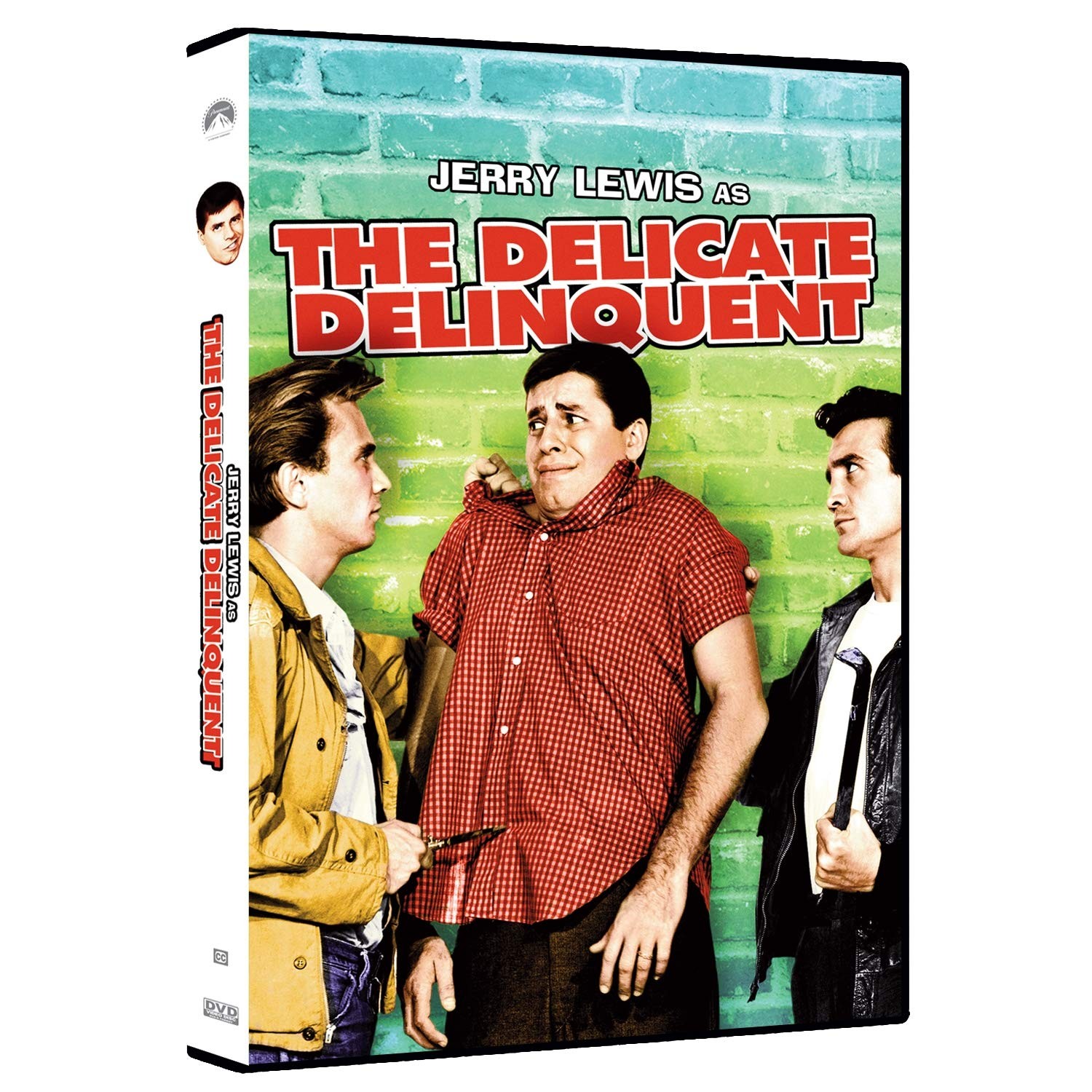 Delicate Delinquent, The (DVD) (US IMPORT) | eBay Australia
