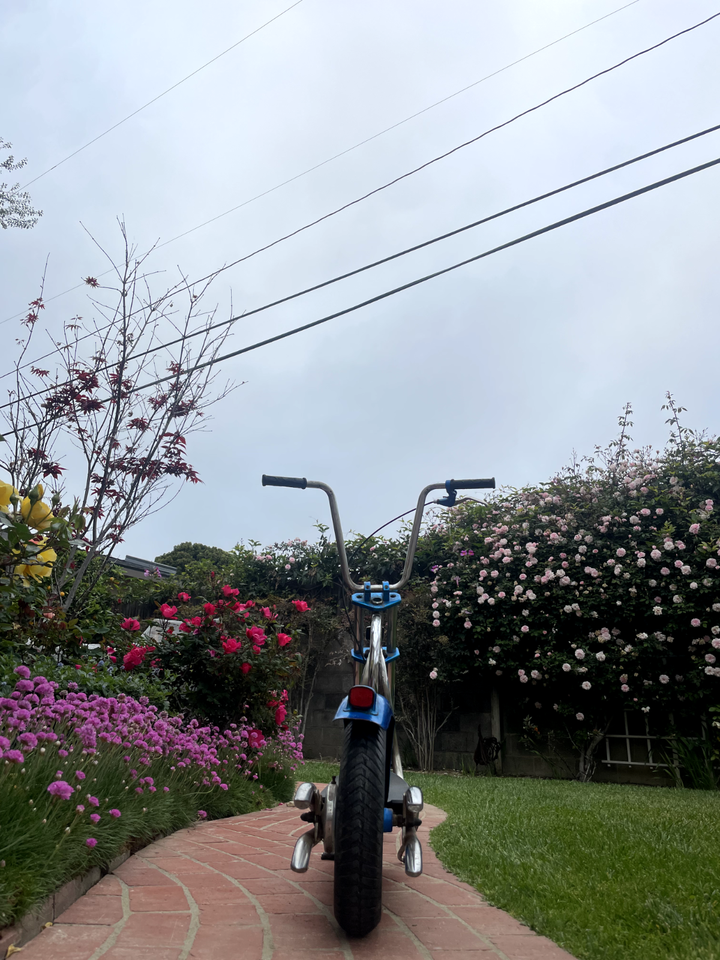 Schwinn Stingray Scooter -blue - $150 | eBay