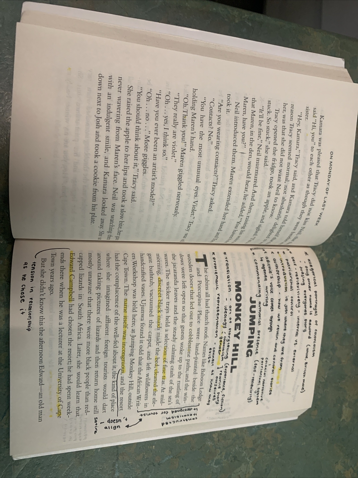 The Thing Around Your Neck by Chimamanda Ngozi Adichie (Paperback, 2009 ...