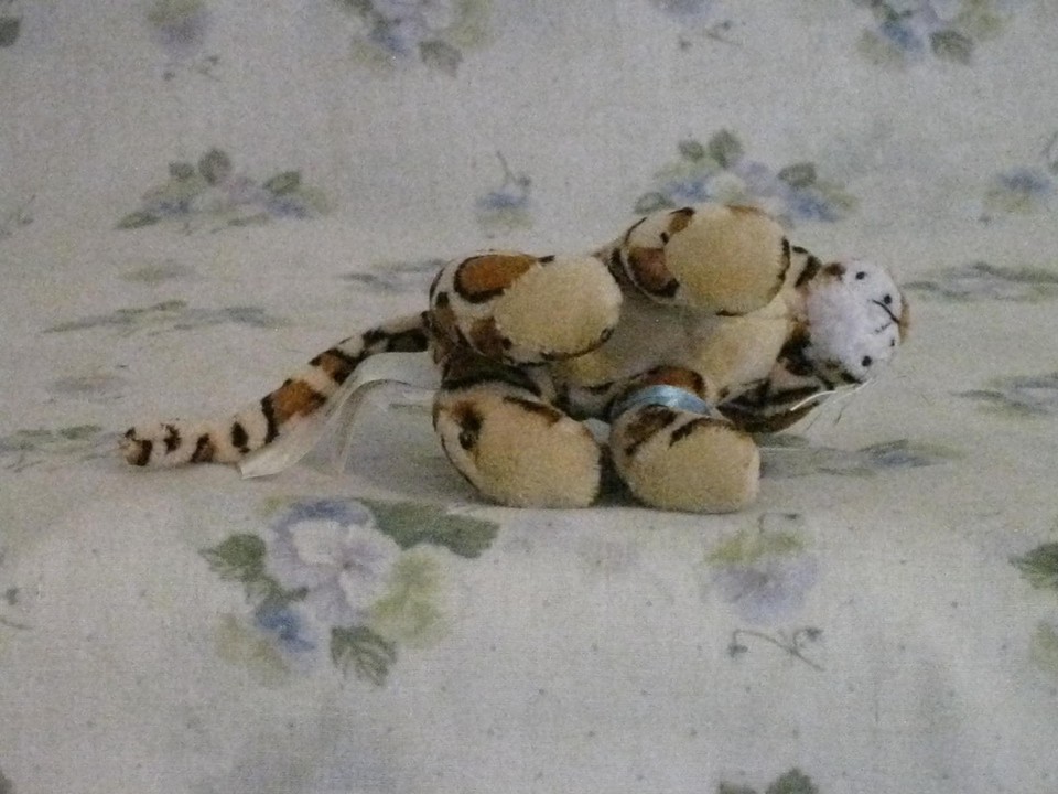 New Webkinz Spotted Leopard HM182 & KINZ KLIP New Unused Code Attached ...