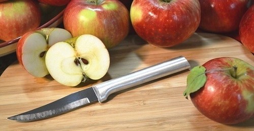 Rada Cutlery Heavy Duty Paring Knife SS Blade, Cast Aluminum handle USA ...