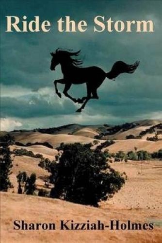 Ride the Storm by Sharon Kizziah-Holmes (Paperback / softback, 2002 ...
