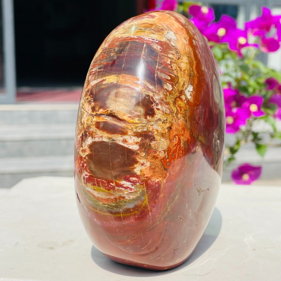 2.55LB Natural Red Petrified Wood Fossil Crystal Landscape Stone ...