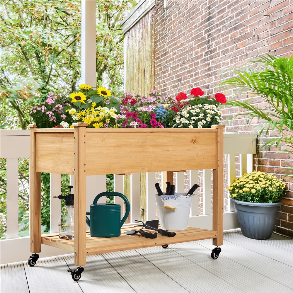 Hochbeet mit Rollen Pflanzkasten Blumenkübel Kräuterbeet Frühbeet Holz ...