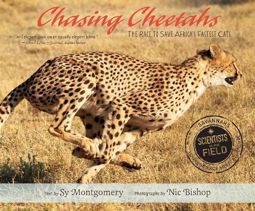 Sy Montgomery Nic Bishop Chasing Cheetahs (Poche) | eBay