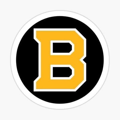 Boston Bruins Sticker | eBay