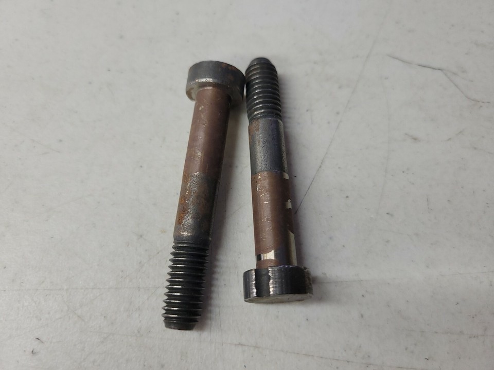 Homelite 57175 TWO Guide Bar Bolts for Chainsaws | eBay