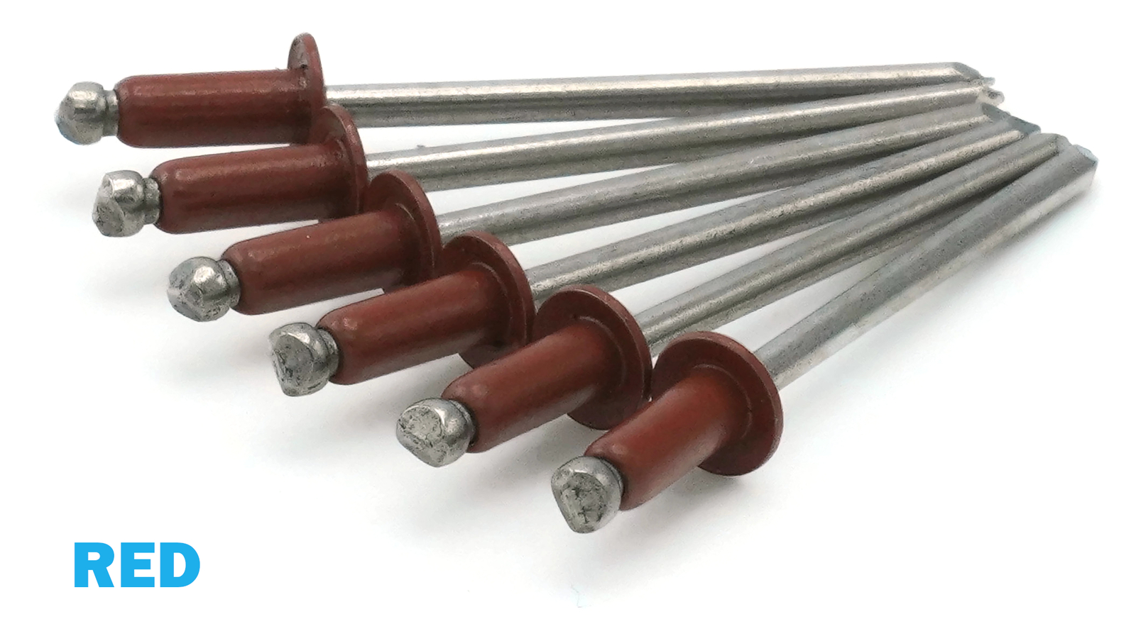 Pop Rivets 1/8" Diameter #4 Painted Stainless Steel Blind Rivets ...