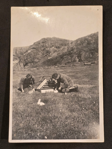 WEHRMACHT SOLDIERS BUNNY RABBIT IN FIELD WW2 WWII German Military ...