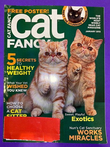 Cat Fancy Magazine Cats Kittens January 2012 With Exotics Poster | eBay