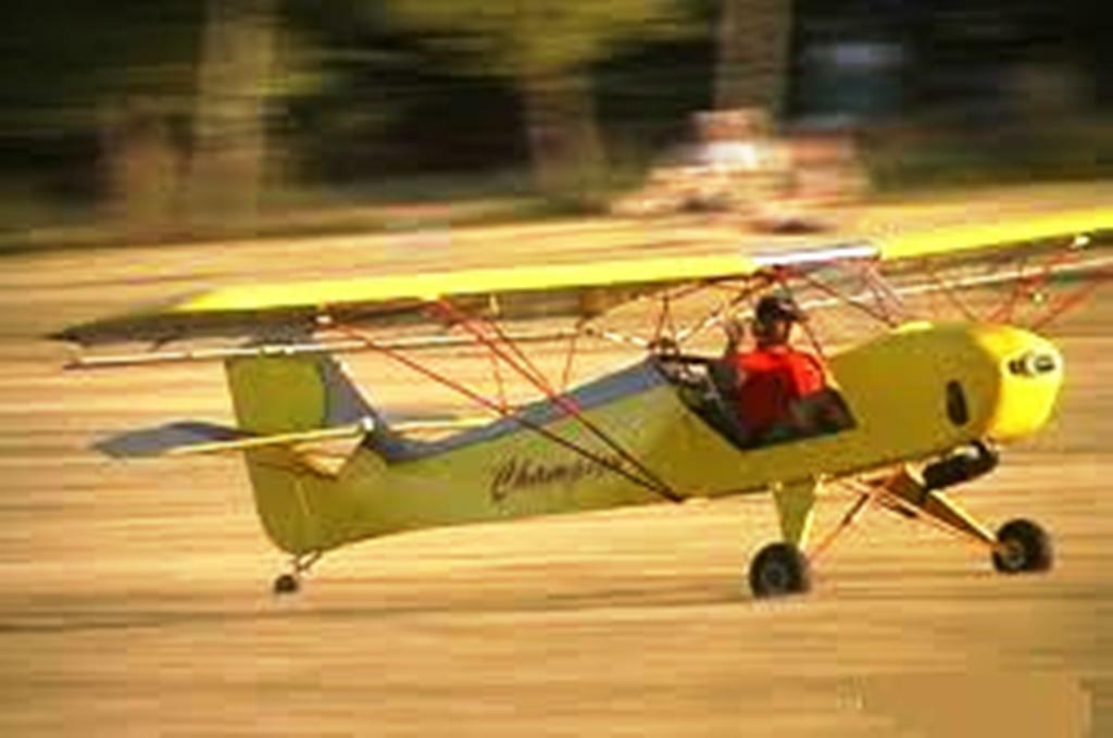 Avid Champion American Ultralight Aircraft Desktop Kiln Dried Wood ...
