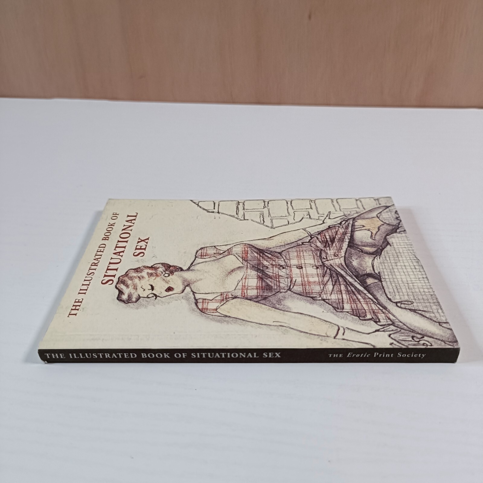 The Illustrated Book of Situational Sex by Richard Smithson (Paperback ...