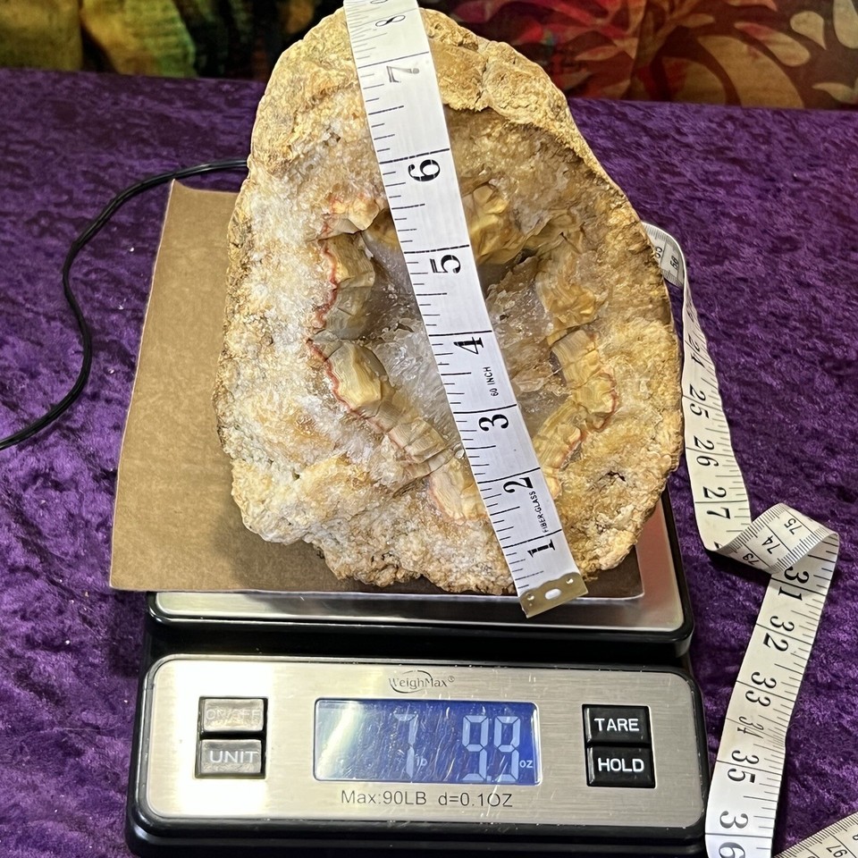 7” Large Geode Yellow Red Orange Chalcedony Agate Lapidary Rough 7.9Lb ...