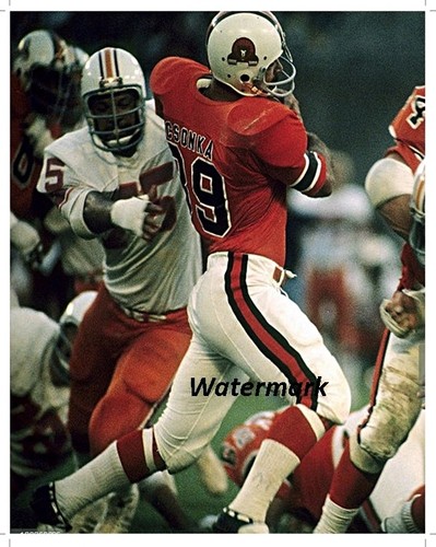 1975 WFL Memphis Grizzlies Southmen Larry Csonka Color 8 X 10 Photo ...