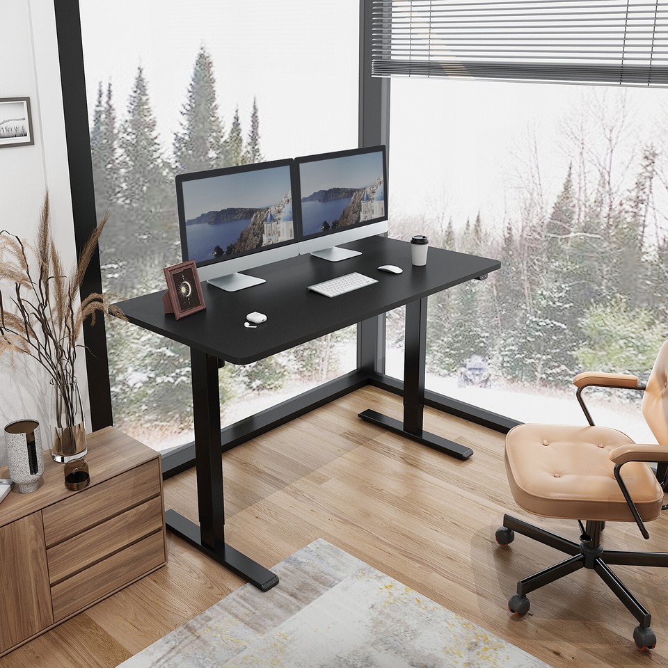 FlexiSpot 40",48",55"Ergonomic Home Office Desk Standing Desk Computer ...