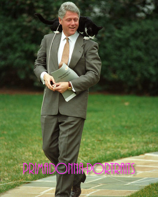 BILL CLINTON 8X10 Lab Photo 1990s with Pet Cat, Socks, Presidential ...