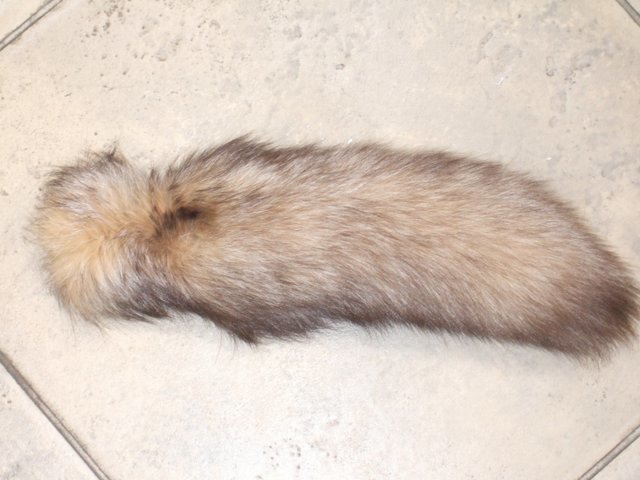 CRYSTAL FOX TAIL | eBay