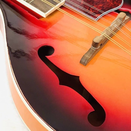Mandolin 8 String F Hole Musical Instrument, Used, Good Condition | eBay