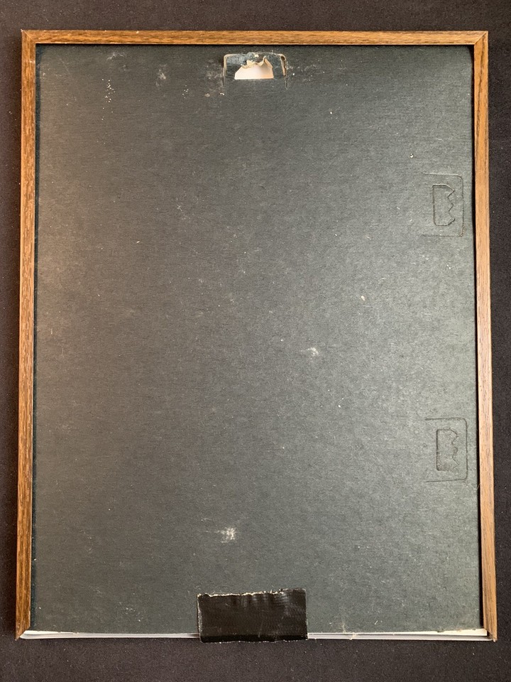 Vintage Pittsburgh Hornets Civic Arena Red Donley WIIC-TV11 Framed ...