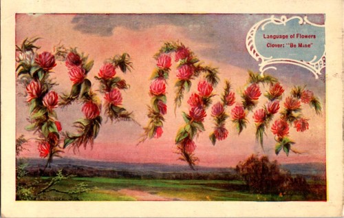 Language of Flowers - Words & Flowers - Beautiful Vintage Postcard j/24 ...