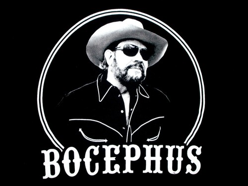 Vintage Hank Williams Jr Bocephus shirt | eBay