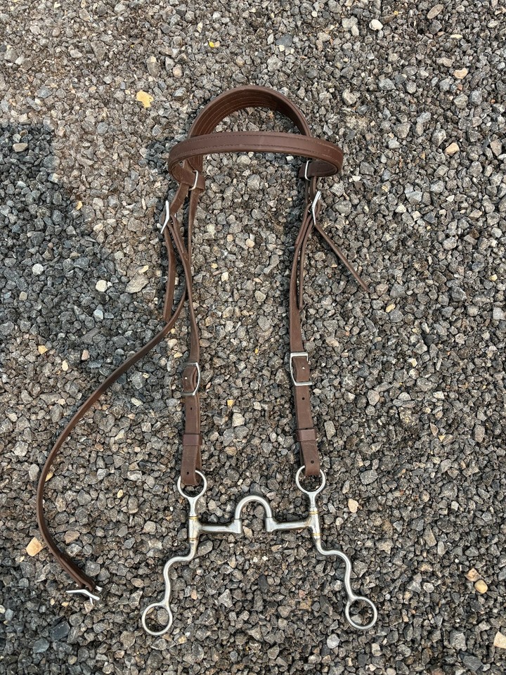 Steve Edwards Beta Headstall for Mule or Donkey – Durable, Adjustable ...