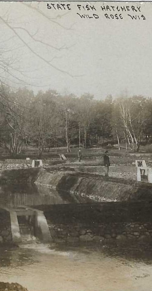 WI RPPC State Fish Hatchery Ponds & People, Wild Rose Wisconsin Real ...