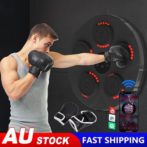Boxing Training Target Wall Mount Bluetooth Music Indoor React Exercise ...