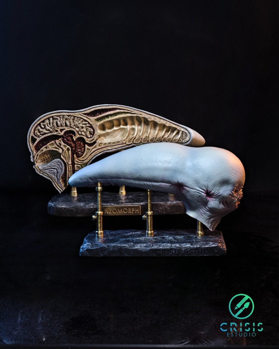 Prometeo Alieno Facehugger