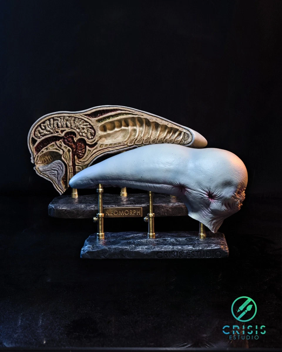 Prometheus Xenomorph