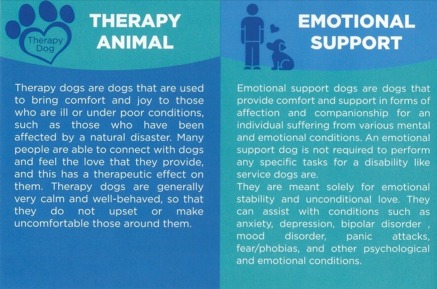 EMOTIONAL SUPPORT ANIMAL (ESA) ID BADGE SERVICE DOG & Cats ID CARD | eBay