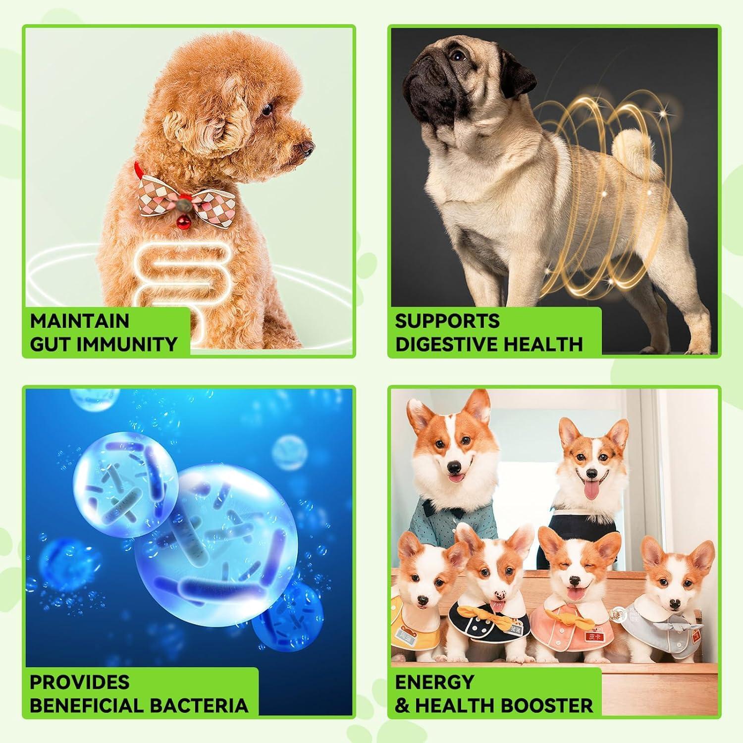 Probiotic for Dogs - Supports Immunity & Gut | Grelly UK