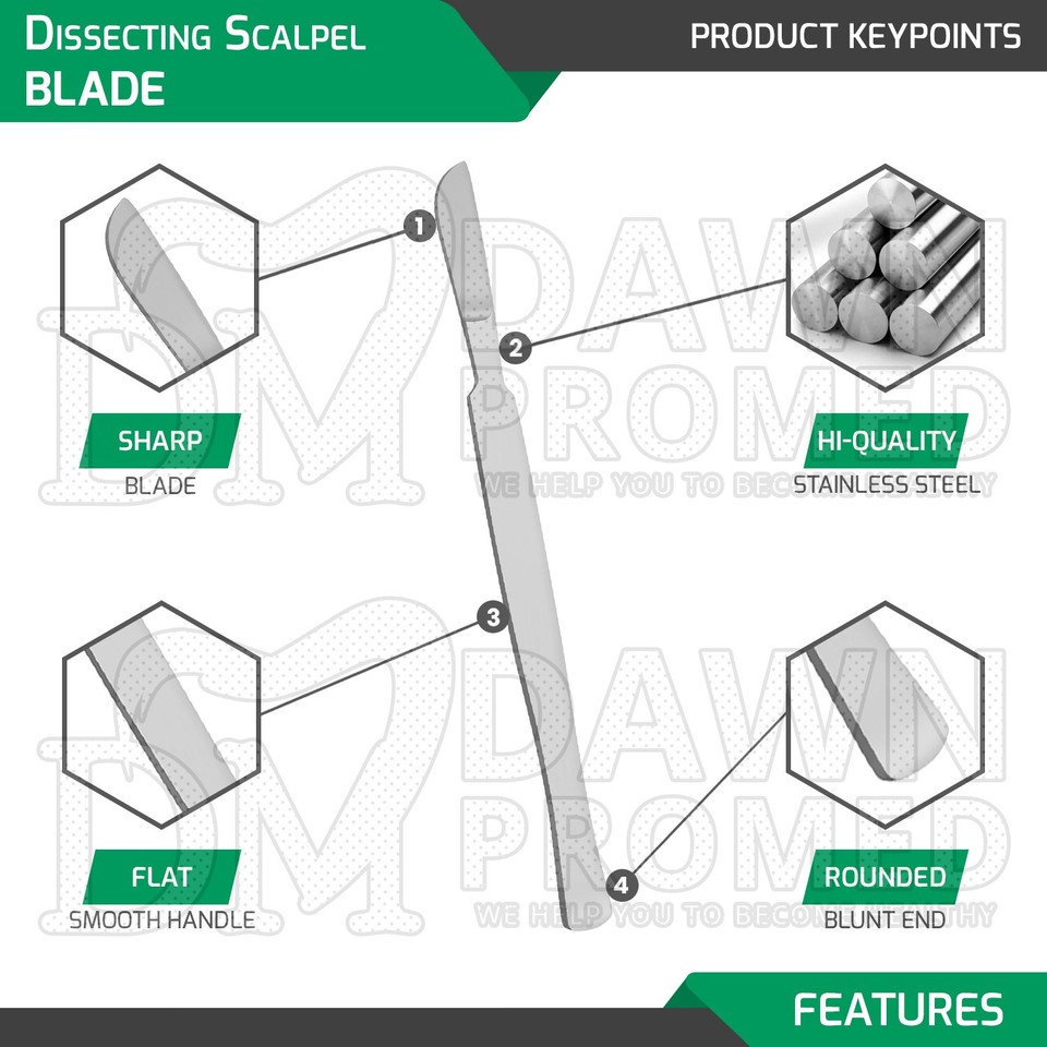 6 Pcs Dissecting Scalpel Blade 6″ Fixed Blade Flat Handle Medical ...