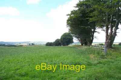 Photo 6x4 Big beech trees north of Upton Withiel Florey Beech hedgerows ...