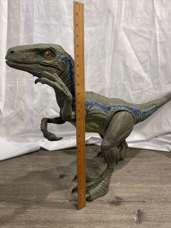 Jurassic World Super Colossal Velociraptor Raptor Blue Action Figure ...