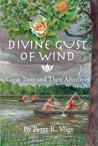 Peter R Vogt Divine Gust of Wind (Paperback) Peter Vogt (US IMPORT ...