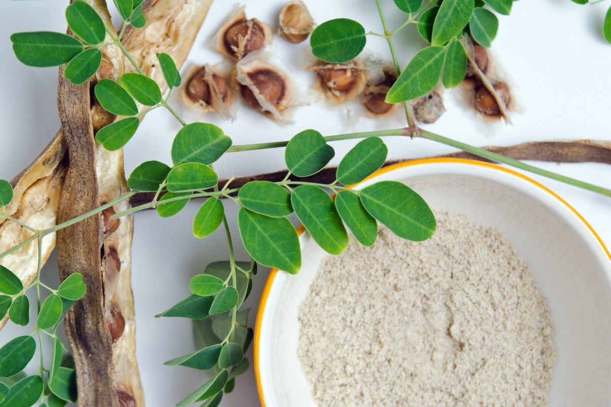 Moringa Oleifera Bark