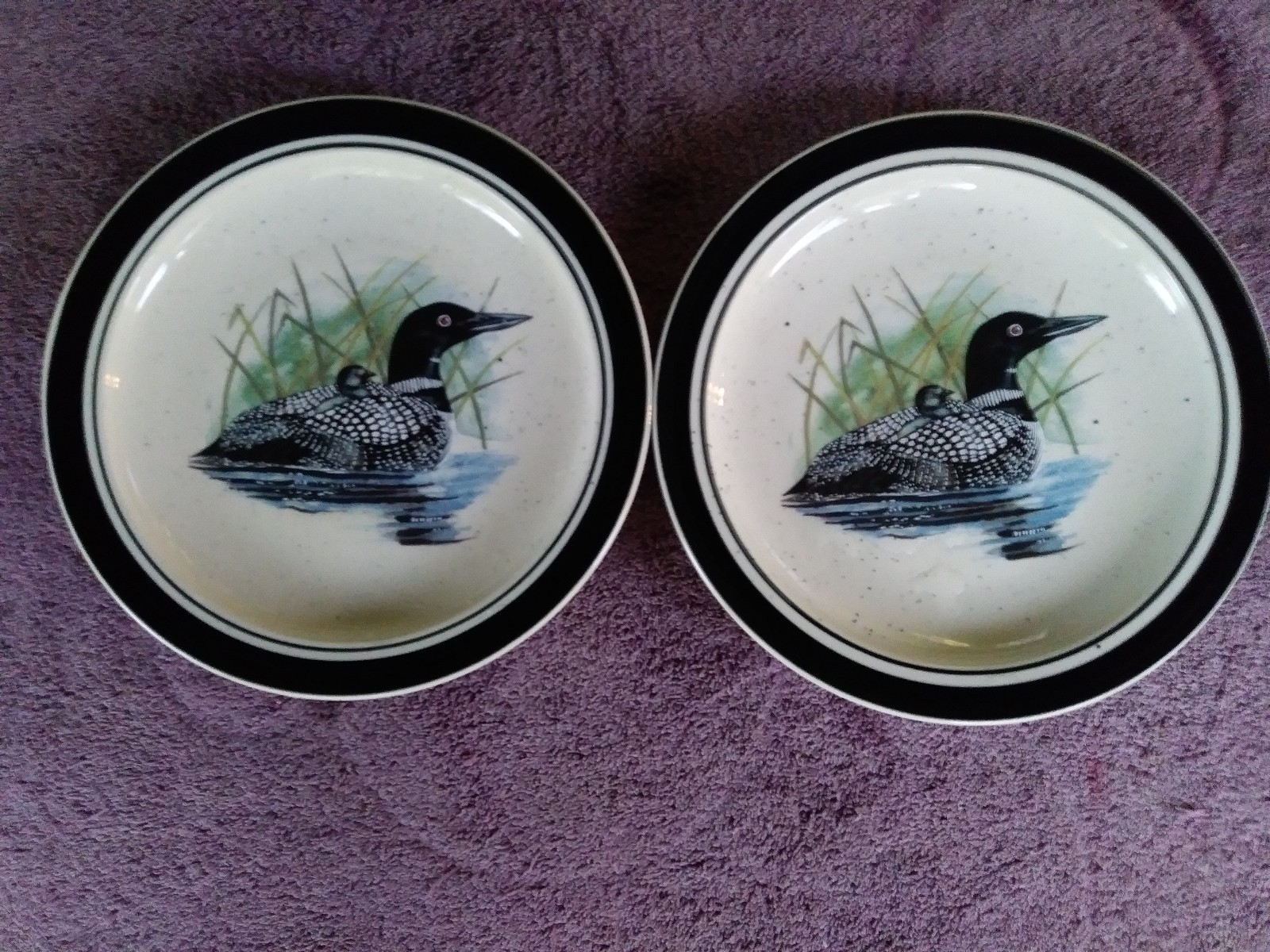 Folkcraft Stoneware Scotty Z Loon Lake Ducks Salad Plate 8.5" Set of 2 ...