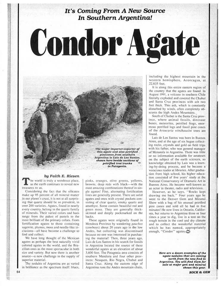 Condor agate collector specimen | eBay
