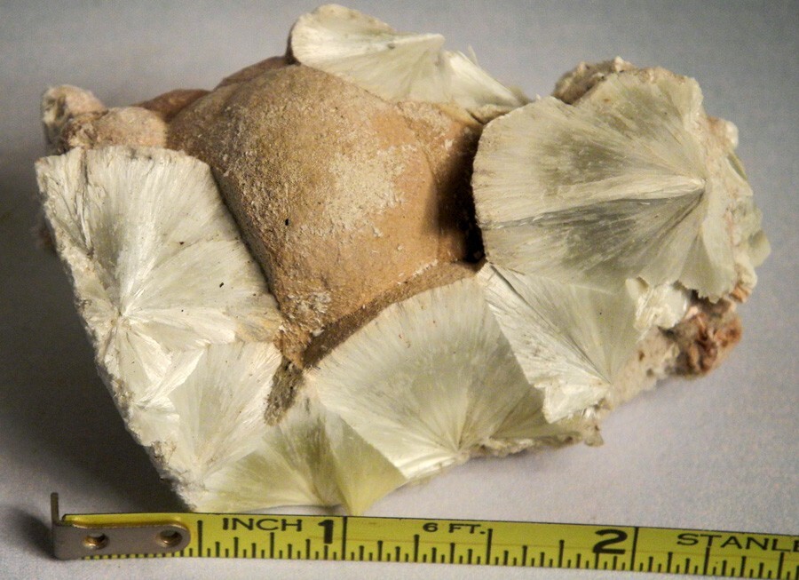 Pectolite Crystals Radiating Needle Form Paterson NJ Mineral Specimen ...