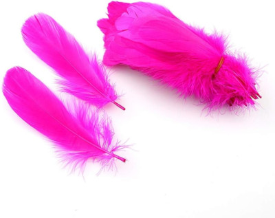 Natural Goose Feathers Clothing Accessories Pack of 100(Fushia) | eBay