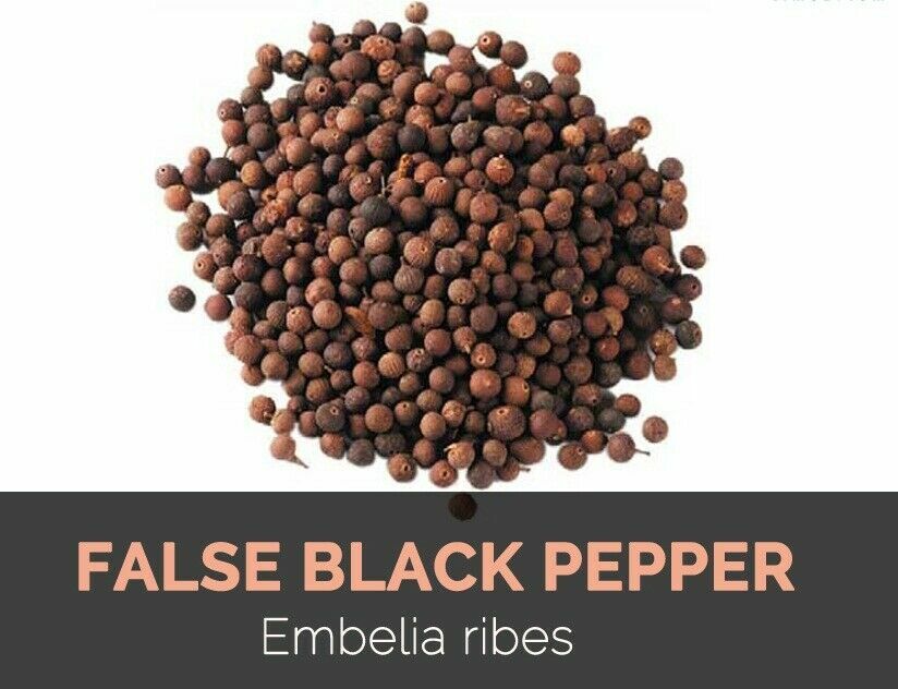Vidanga False Pepper Embelia Ribes POWDER Helps in skin disease FREE ...