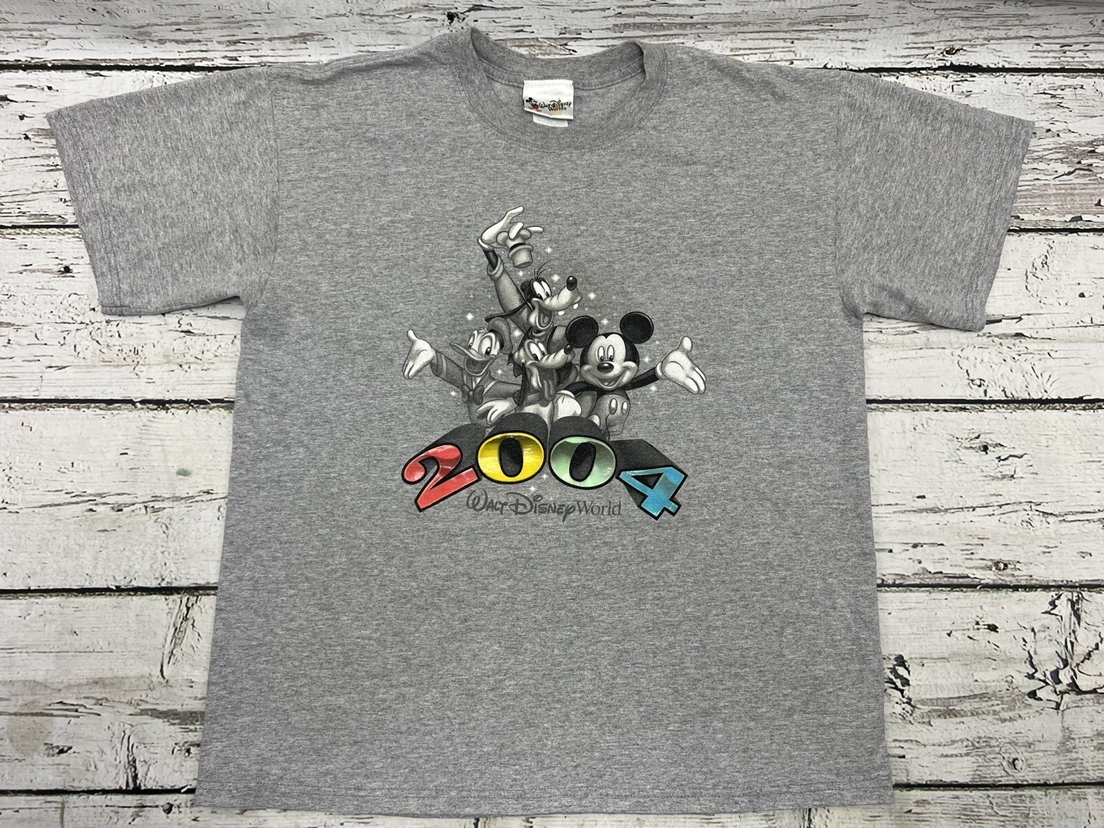 VTG 2004 Walt Disney World Mickey Donald Goofy Pluto Characters Gray T ...