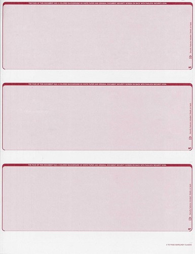 300 checks Blank Security Check Stock Paper - 3 Per Page - (Classic ...
