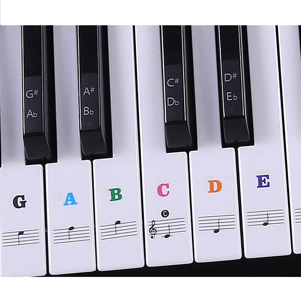 Piano Stickers Keyboard Music Note Chart Removable Decal 54/61 Keys | eBay