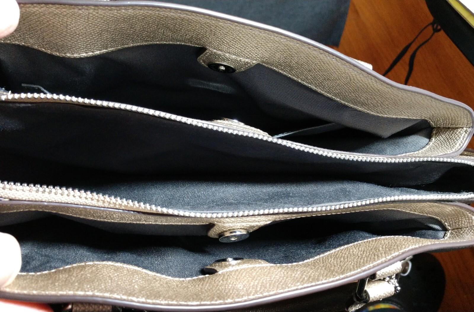 COACH Crossbody Shoulder Handbag Pebble Leather F32165 SV/PLATINUM SAGE ...