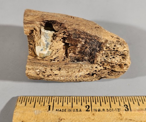 CIVIL WAR RELIC, BULLET FOUND EMBEDDED IN WOOD, SPOTSYLVANIA VA. #3 | eBay