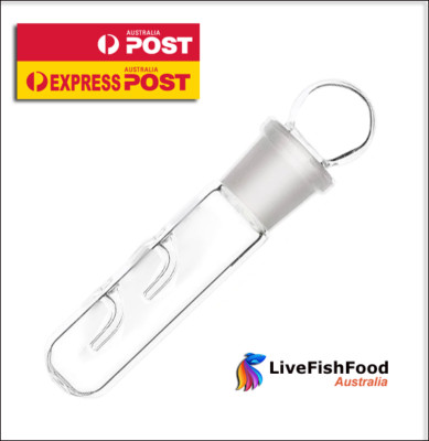 Planaria Pest Trap Shrimp Leeches Worm Leech Catch Catcher Fish Tank | eBay